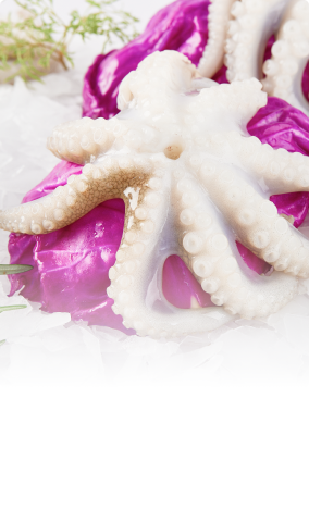 Raw Whole Cleaned Baby Octopus - Phu Cuong Seafood